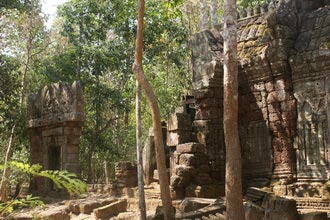 Ta Nei Temple - Ta Nei